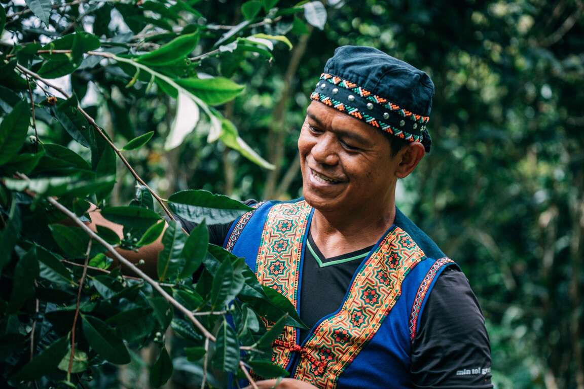 The Maolin National Scenic Area Headquarters assisted the Napu Native Organic Tea to win the ...
