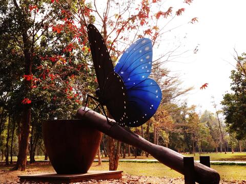 For spring visitors in the Year of the Tiger, Maolin National Scenic ...